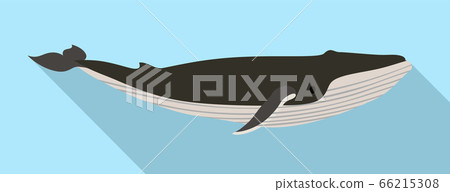 Fin whale icon, flat style - Stock Illustration [66215308] - PIXTA