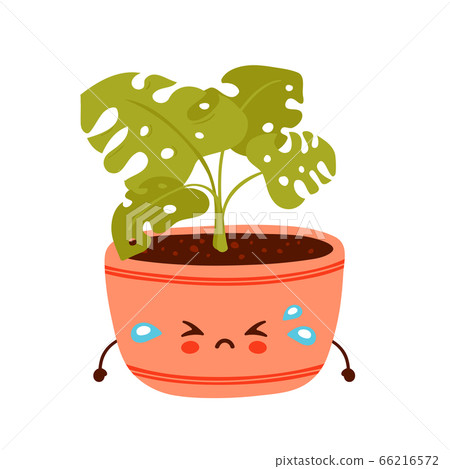 Cute sad funny monstera plant in pot - Stock Illustration [66216572 ...