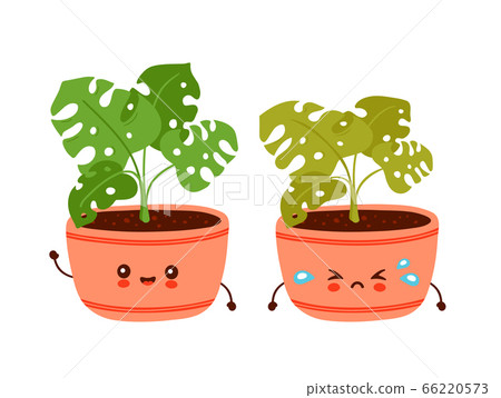 Cute happy funny monstera plant in pot - Stock Illustration [66220573 ...