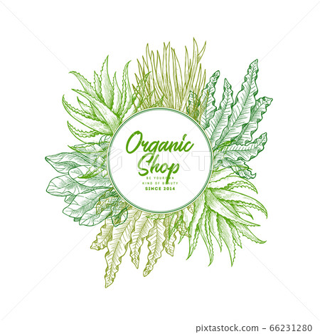 Super greens design template. - Stock Illustration [66231280] - PIXTA