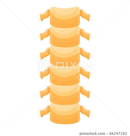 Human spine icon, cartoon style - Stock Illustration [66247283] - PIXTA