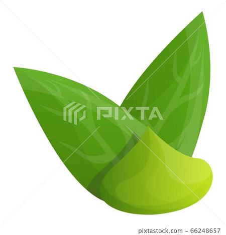 Matcha tea leaf icon, cartoon style - Stock Illustration [66248657] - PIXTA