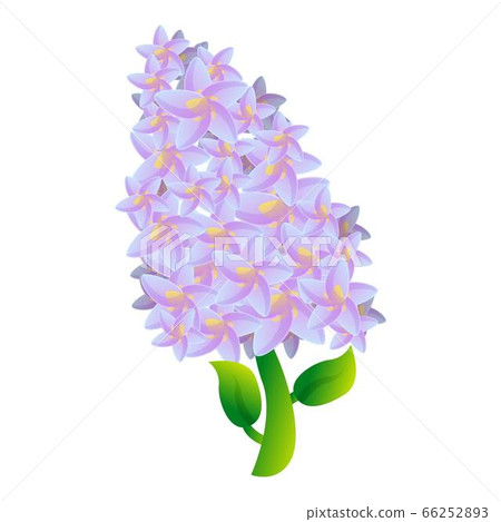 Garden lilac icon, cartoon style - Stock Illustration [66252893] - PIXTA