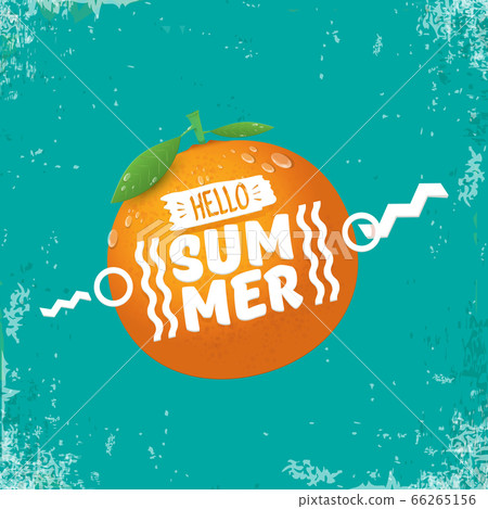 Vector Hello Summer party label or flyer Design... - Stock Illustration ...