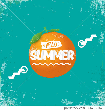 Vector Hello Summer party label or flyer Design... - Stock Illustration ...