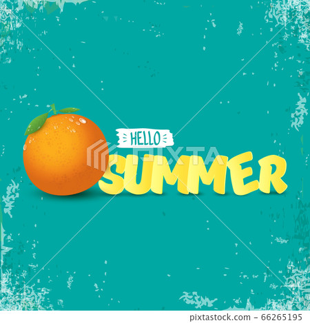 Vector Hello Summer party label or flyer Design... - Stock Illustration ...