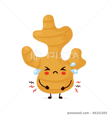 Cute sad funny ginger root. Vector - Stock Illustration [66281885] - PIXTA