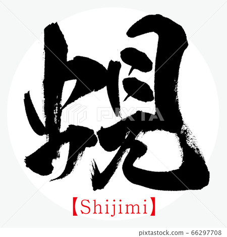 Shijimi (calligraphy, handwriting) - Stock Illustration [66297708] - PIXTA