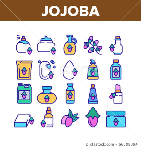 Jojoba Natural Product Collection Icons Set Vector - Stock Illustration ...