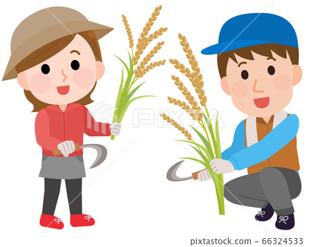 Illustration of men and women harvesting rice - Stock Illustration ...