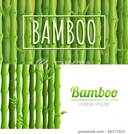 Bamboo banner set, cartoon style - Stock Illustration [66377910] - PIXTA