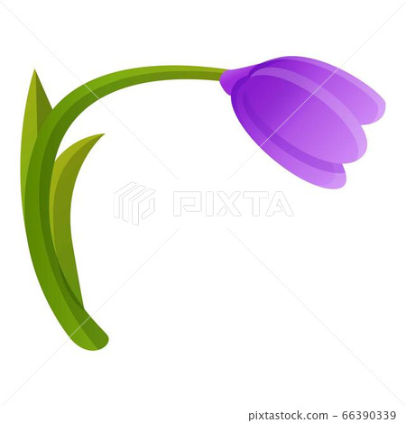 Botanical crocus icon, cartoon style - Stock Illustration [66390339 ...