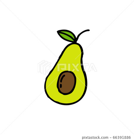 avocado doodle icon, vector illustration - Stock Illustration [66391886 ...