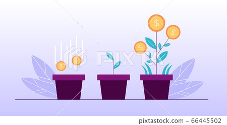 Money flower investment deposit growth design - Stock Illustration ...