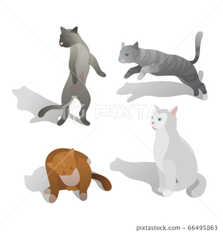 isometric cat in different poses - Stock Illustration [66495863] - PIXTA