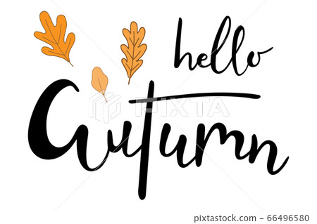 Hello autumn hand lettering brush text isolated - Stock Illustration ...