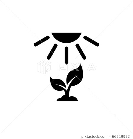Crop Growth, Young Sprout Under Sun Flat Vector - Stock Illustration ...