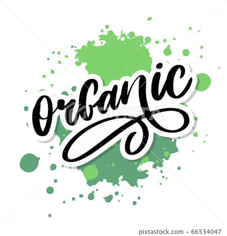 Organic brush lettering. Hand drawn word organic - Stock Illustration ...