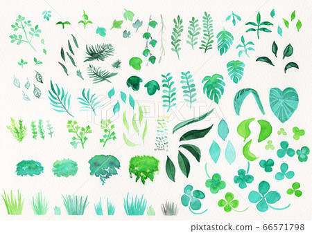 Leaf material set - Stock Illustration [66571798] - PIXTA