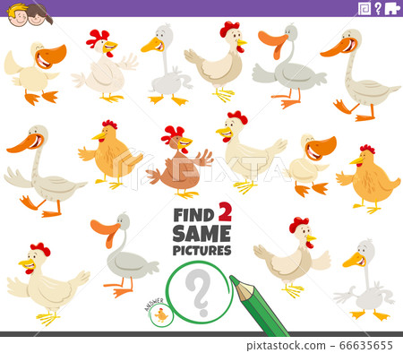 find two same farm birds educational game for - Stock Illustration ...