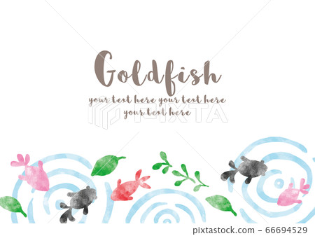 Goldfish_frame_watercolor 01 - Stock Illustration [66694529] - PIXTA