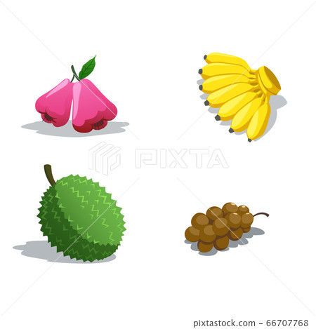 Asian fruit tastes sweet and delicious.-插圖素材 [66707768] - PIXTA圖庫