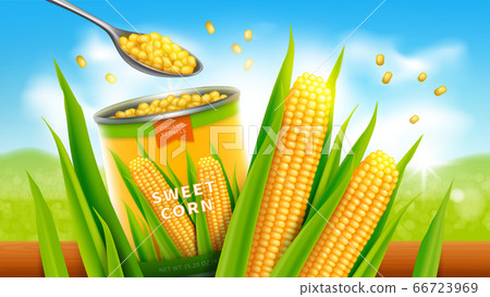 Sweet corn realistic vector advertising poste - Stock Illustration ...