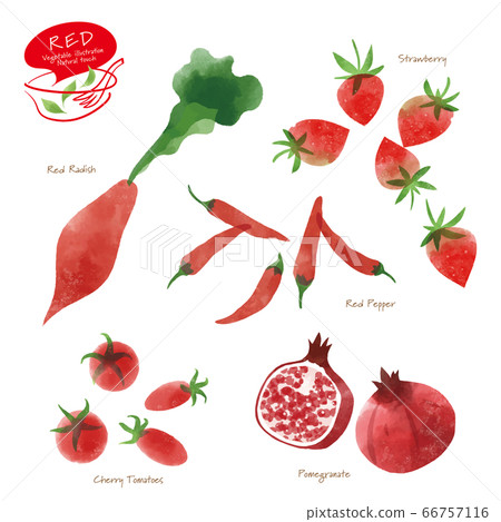 Red Vegetable Illustration 2 / Assorted /... - Stock Illustration ...