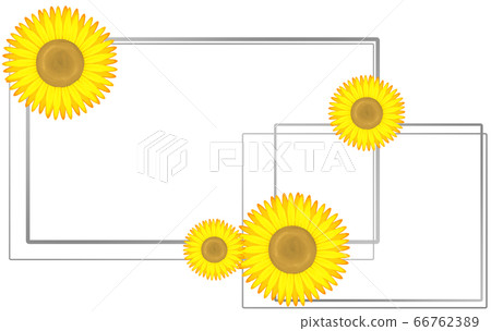Horizontal sunflower frame (gray) - Stock Illustration [66762389] - PIXTA