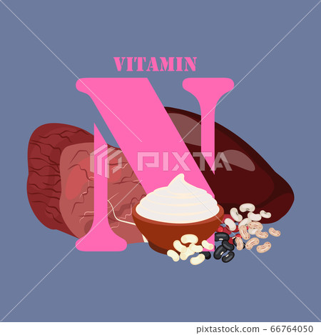 Vitamin N healthy nutrient rich food vector...-插圖素材 [66764050] - PIXTA圖庫