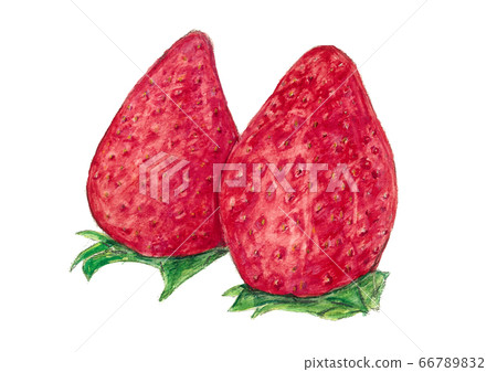 Sky berry - Stock Illustration [66789832] - PIXTA