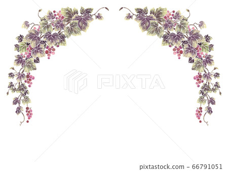 Frame of grape illustration 06-1 (white line) - Stock Illustration ...