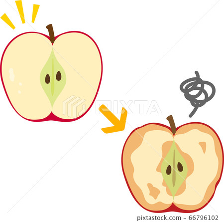 Discoloration of apple cross section (before... - Stock Illustration ...