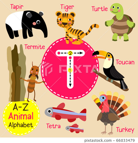 Animal That Starts With The Letter T