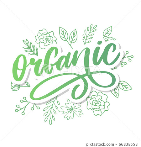 Organic brush lettering. Hand drawn word organic - Stock Illustration ...