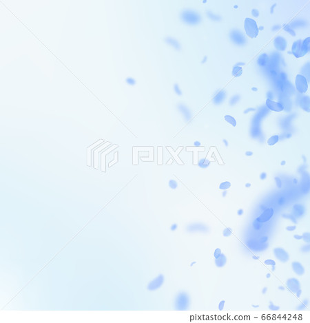 Dark blue flower petals falling down. Marvelous ro - Stock Illustration ...