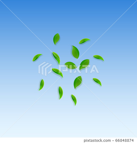 Falling green leaves. Fresh tea random leaves flyi - Stock Illustration ...