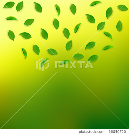 Falling green leaves. Fresh tea random leaves flyi - Stock Illustration ...