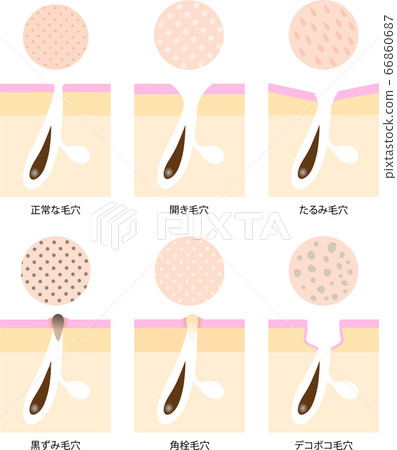 Pore skin surface and cross section set - Stock Illustration [66860687 ...
