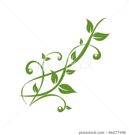 green plants tendril on white background - Stock Illustration [66877496 ...