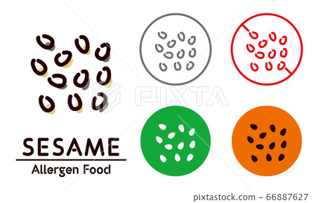 vector, vectors, sesame - Stock Illustration [66887627] - PIXTA