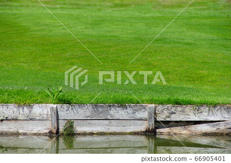 Pond bank - Stock Photo [66905401] - PIXTA