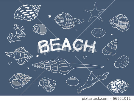 Line drawing of shells, corals and starfish - Stock Illustration ...