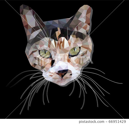 Polygon art illustration using cat face - Stock Illustration [66951429 ...