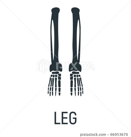 Leg bone, x-ray concept icon, roentgen human body - Stock Illustration ...