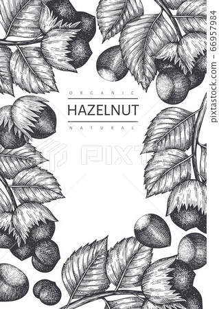 Hand drawn sketch hazelnut design template. - Stock Illustration ...