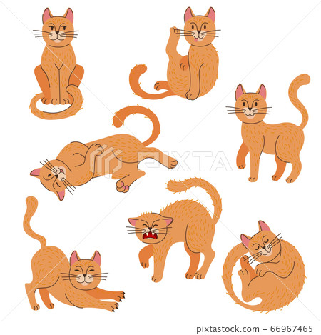 Cartoon Color Cat Icon Set with Lineart... - Stock Illustration ...