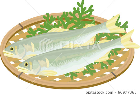 Natural sweetfish basket vector illustration - Stock Illustration ...
