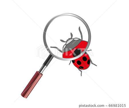 Ladybug under microscope. Ladybird on white - Stock Illustration ...