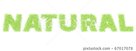 NATURAL word made with grass on white... - Stock Illustration [67017078 ...